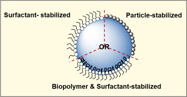 The Surprising Science of Surfactants: How They Bind Oil and Water in a ...